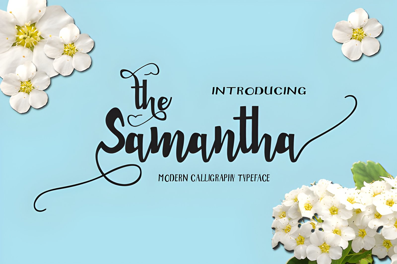 Samantha Font - Download for Free